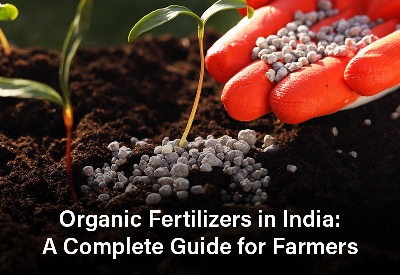 Organic fertilizers improving soil health and crop growth on Indian farms